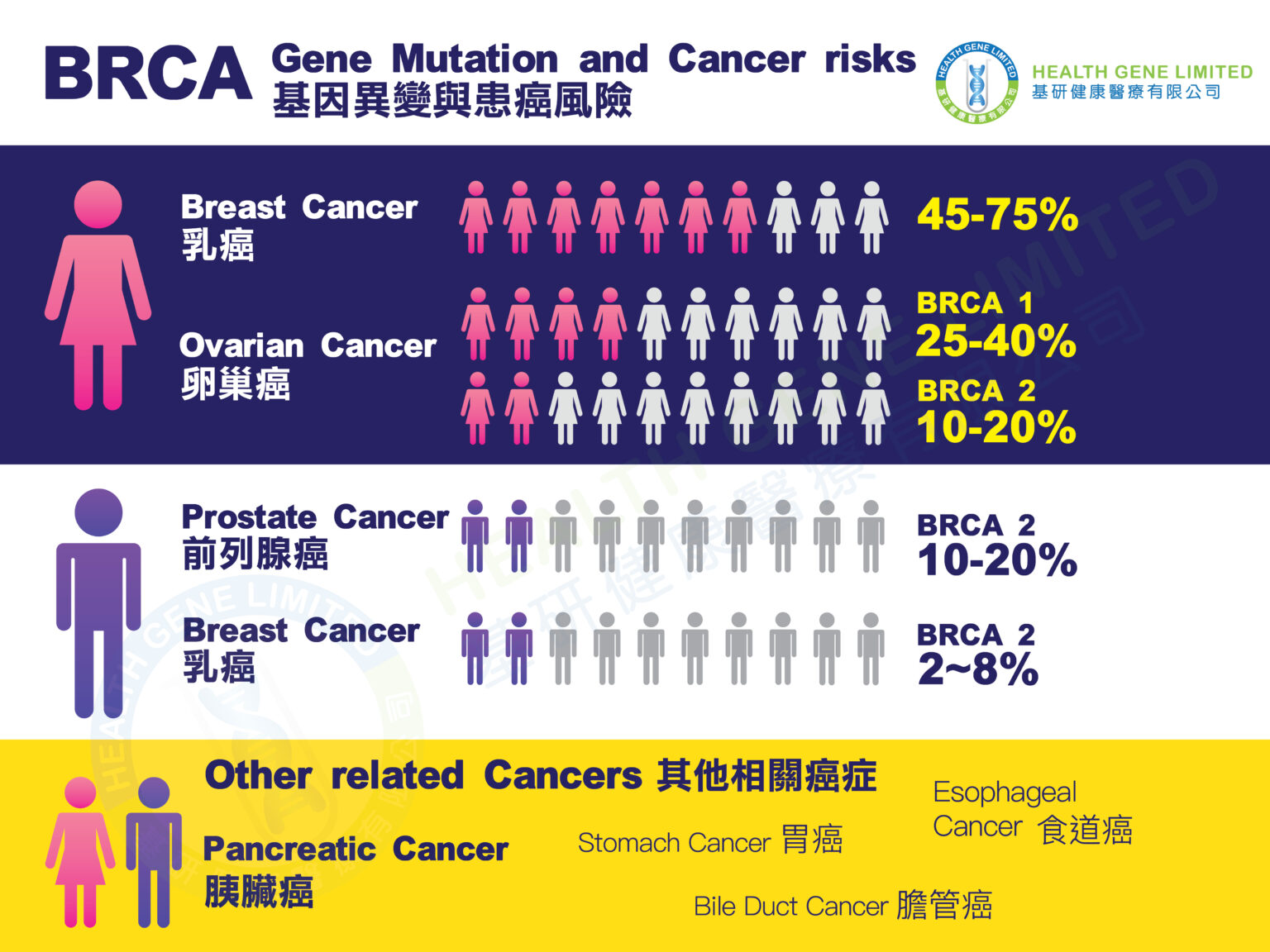 BRCA 1/2 乳癌、卵巢癌遺傳基因檢查 | HEALTH GENE LIMITED